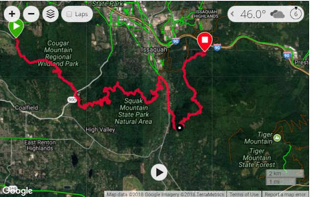 Light Trail Runner: Training in the Issaquah Alps: Cougar, Squak, and ...