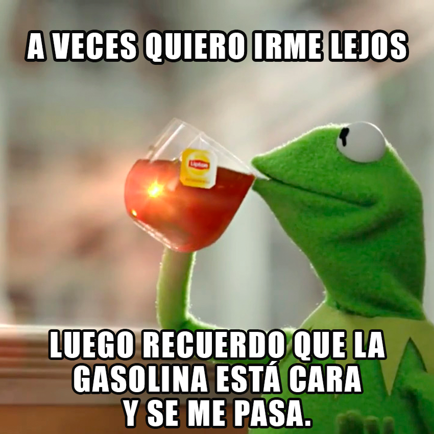 Memes Rana René (Gustavo)