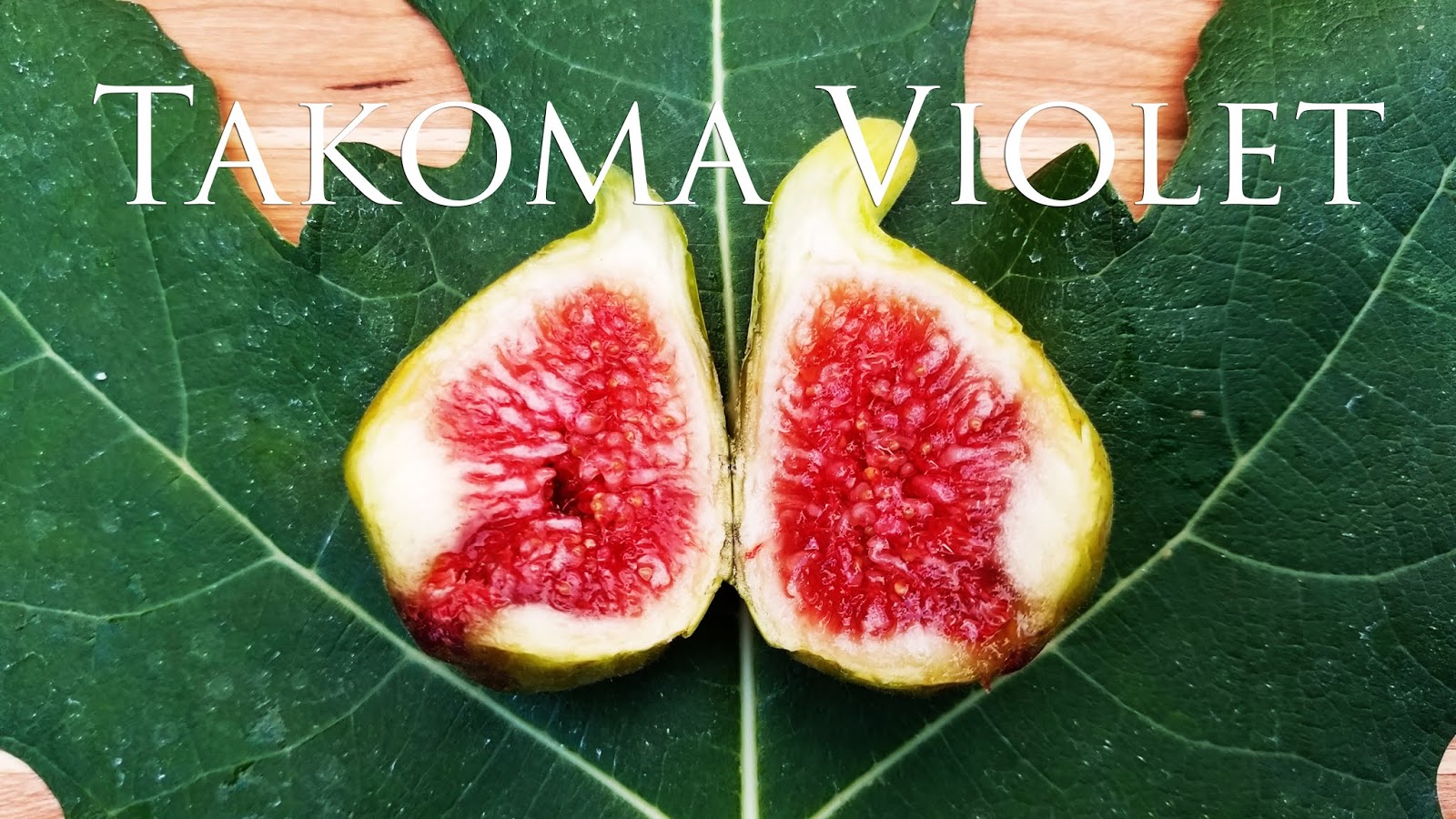 Seattle Garden & Fruit Adventures: Ben B's 2018 Top 10 Figs for Seattle