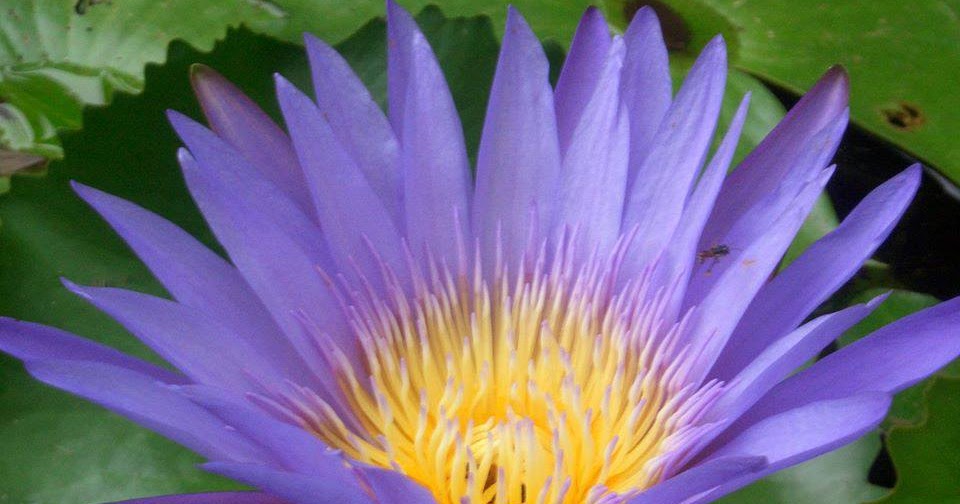 ÉVOLUMIÈRE Evolution spirituelle