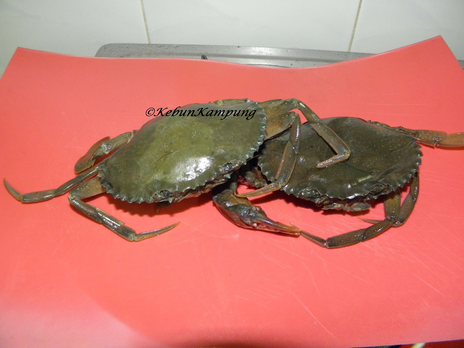 ketam kulit lembut dan kundur labu