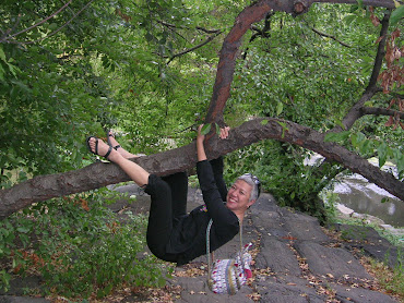 ADVENTURES WITH GRANDTITA: UST human cross now Guinness World Records ...