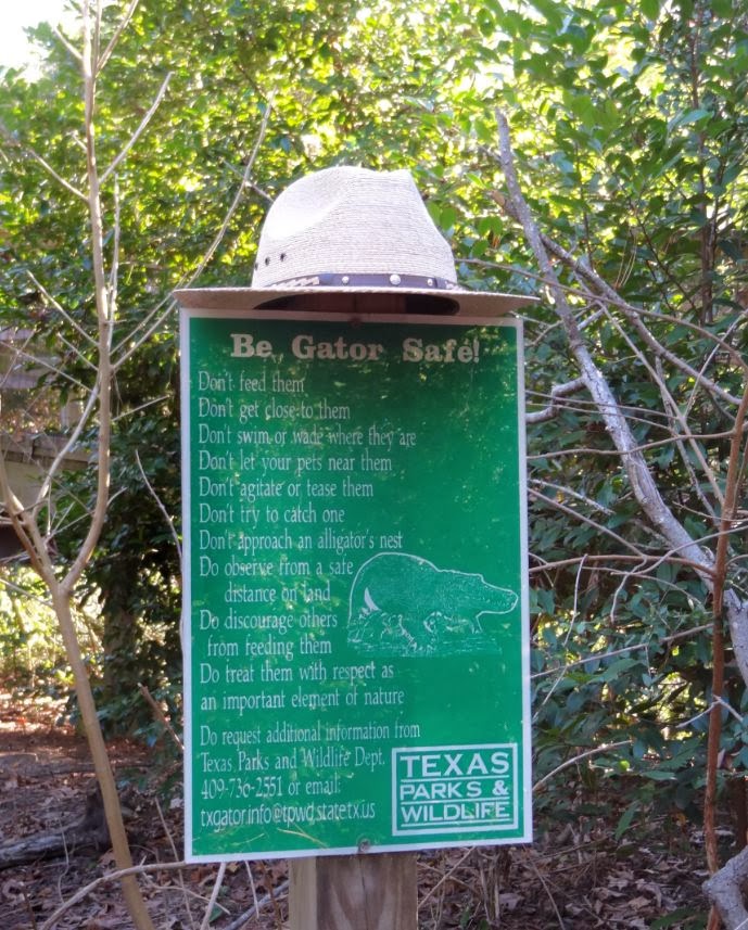 H-Town-West Photo Blog: Alligator warning signs on Buffalo Bayou