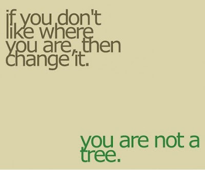 friday quotes: you are not a tree - Ehmscapades