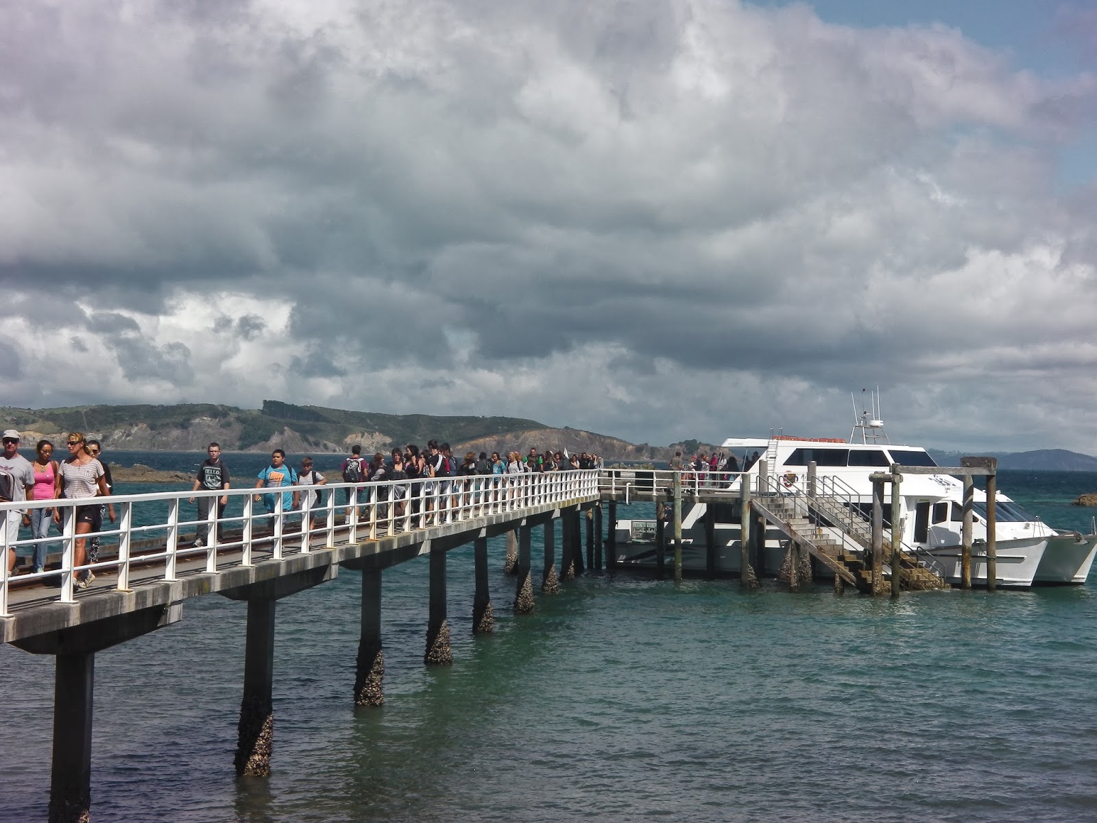 Revealing New Zealand: Tiritiri Matangi Island with 360 Discovery Cruises