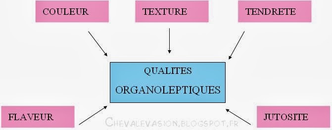 Cheval évasion: La viande chevaline