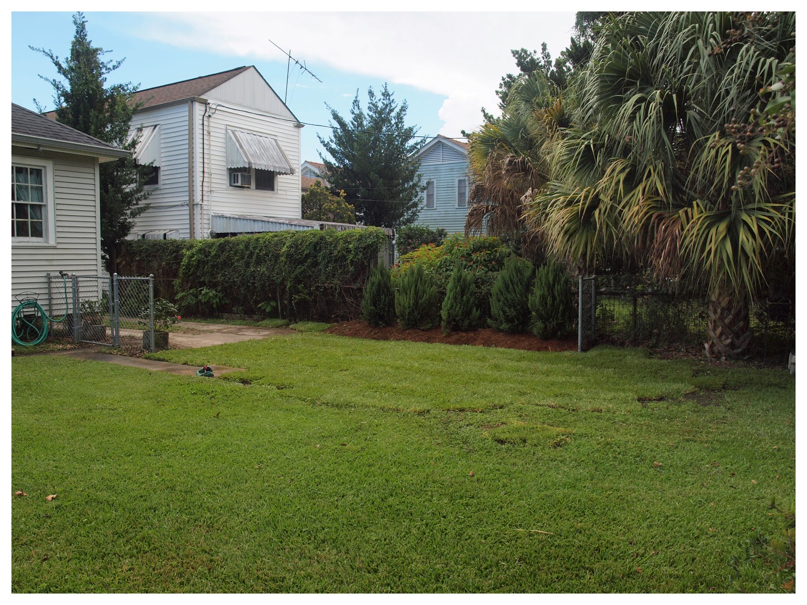 angels and people, life in New Orleans: most improved back yard