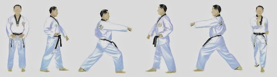 Academia de Taekwondo Han-kook-Caqueta: Qué es el Poomsae?