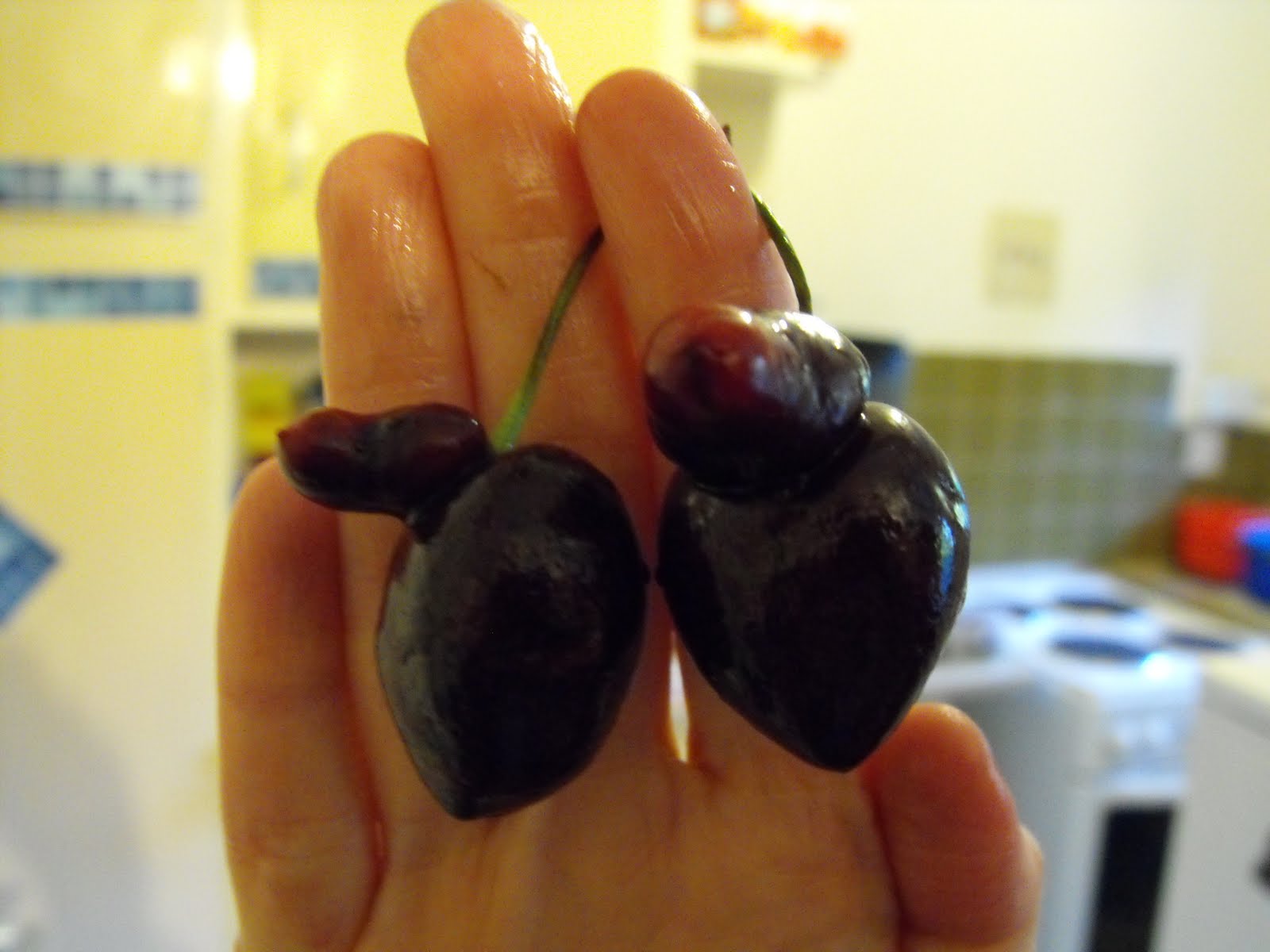 Spidergrrl vs The World: Rude Fruit