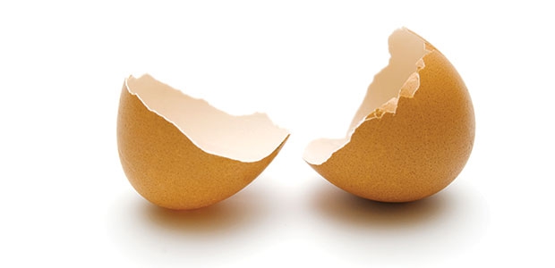 French Vocabulary Illustrated: coque