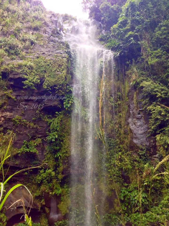 Guide to Consocep Mountain Resort / Falls ~ Naga City Deck