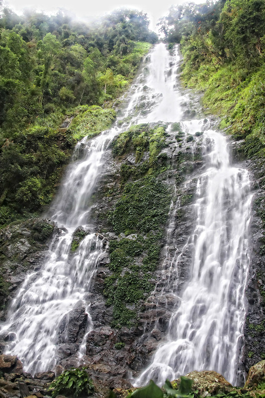 Fun N Delicious : Fun @ Kinabalu Park, Sabah