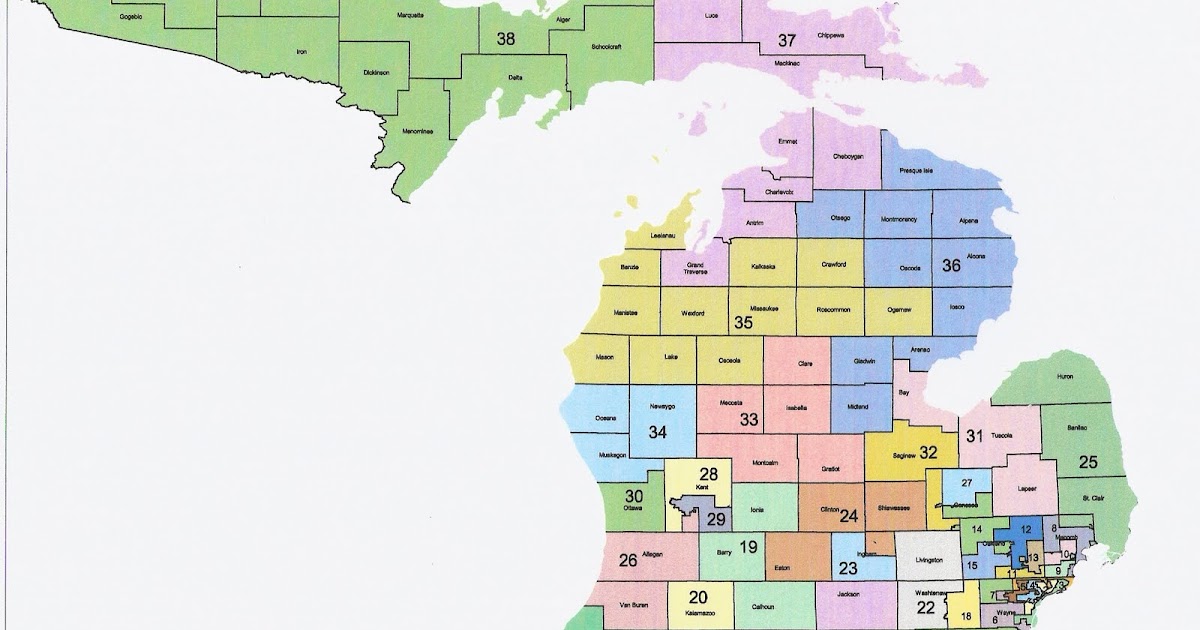 The Western Right: 2018 Michigan State Senate Elections