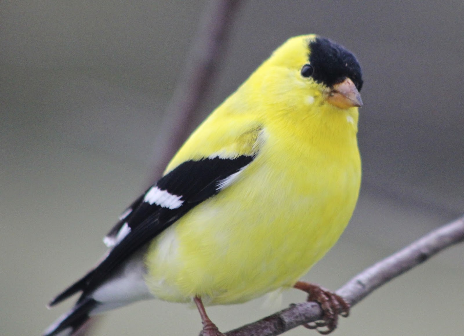 Around Peru, Nebraska: Bill Clemente's Pictures, Video, and Links ...