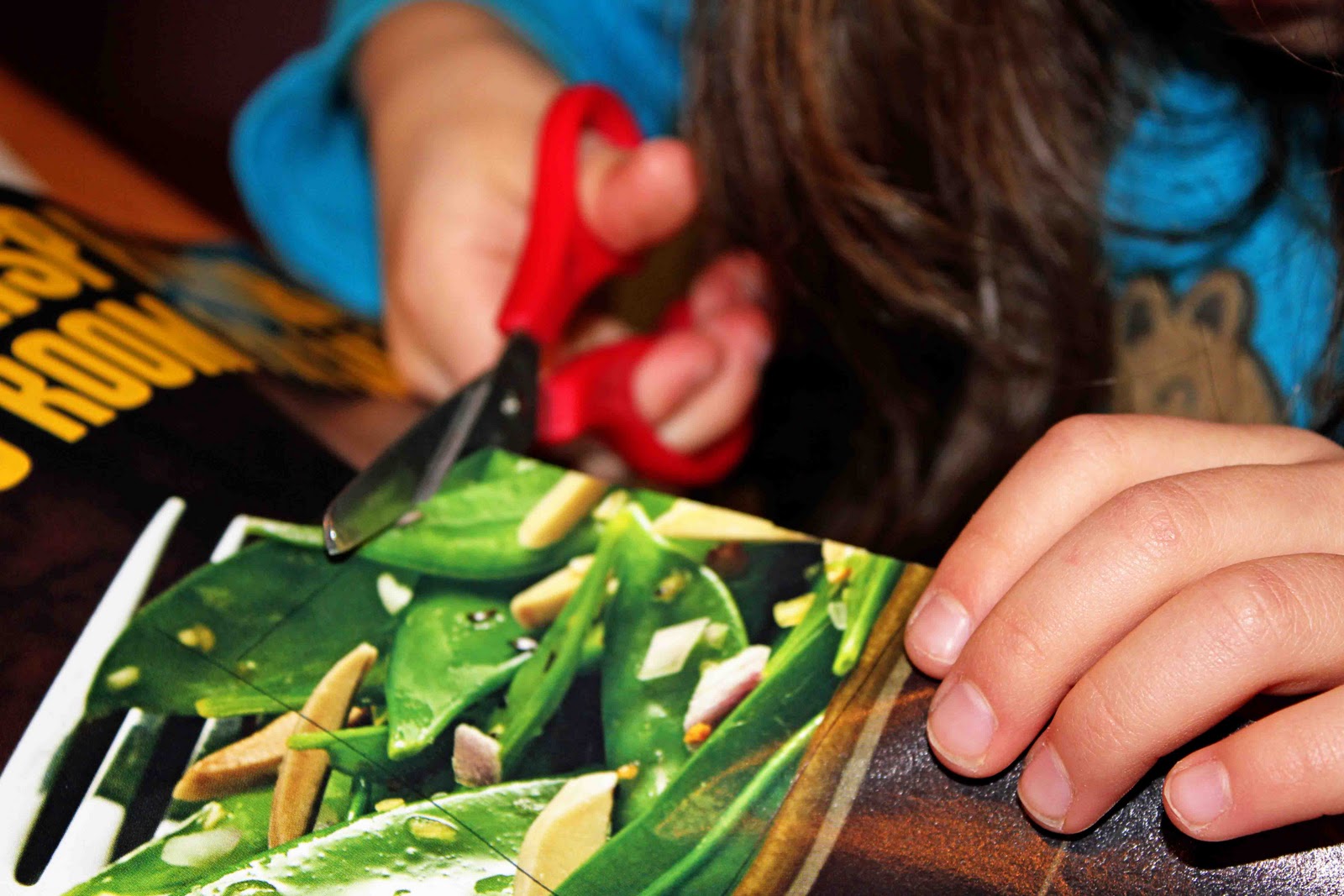 Picture Setting - ED484G: Curricular Engagements