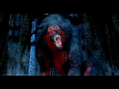 El Descanso del Escriba: El Pacto de los Lobos. Una reseña