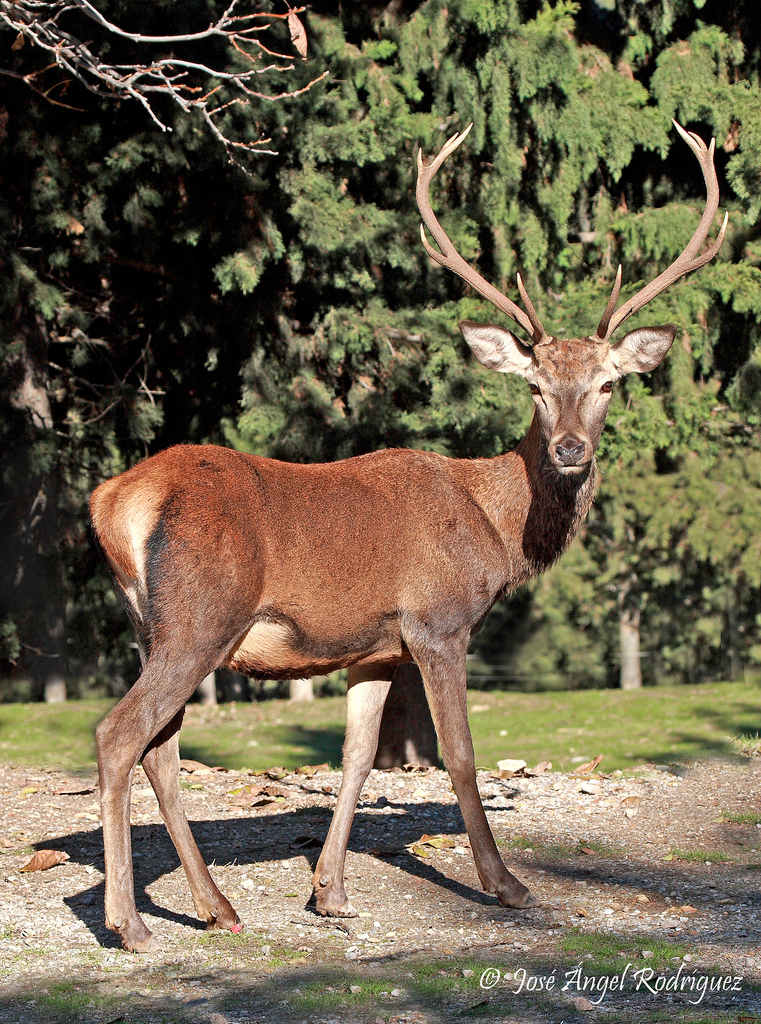 José Ángel Rodríguez. Fotografía de Naturaleza