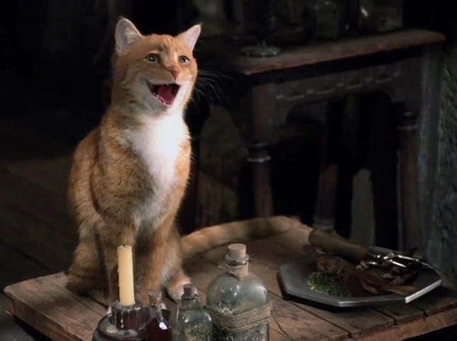 Un tuffo dove il Puffo è più blu