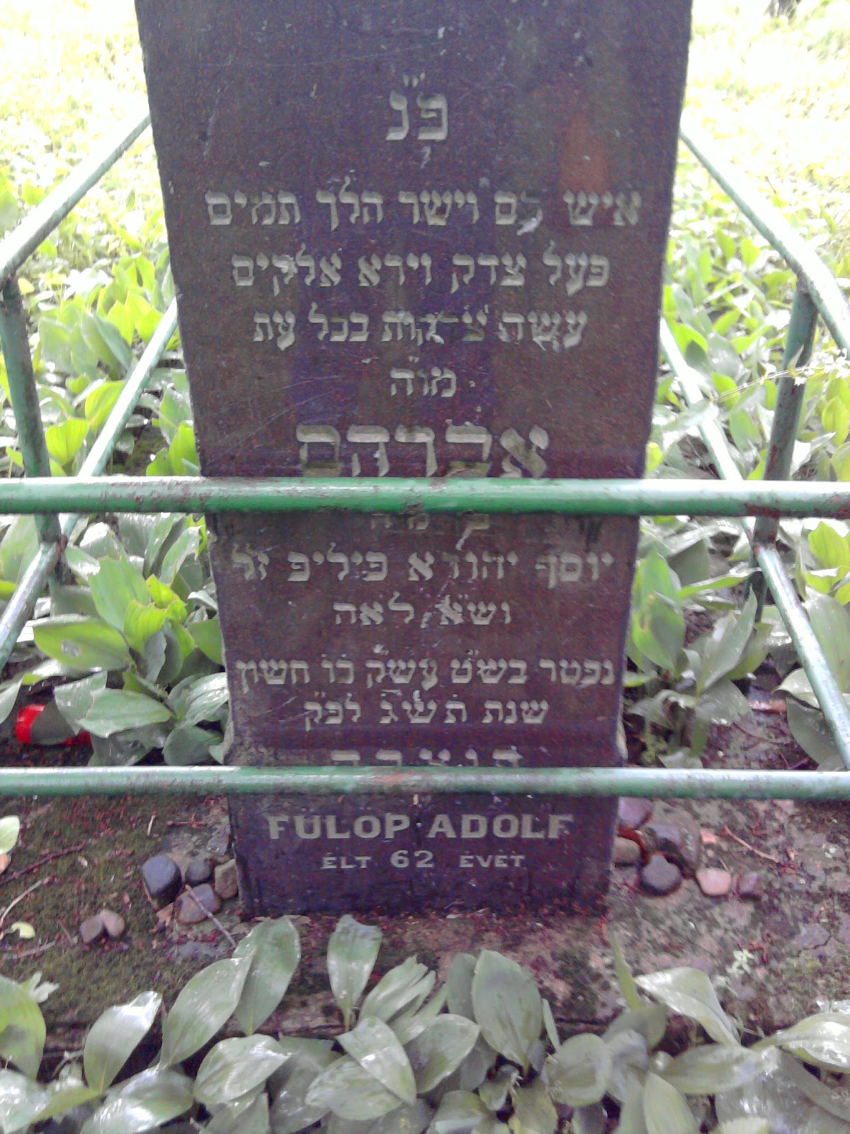 Židovská komunita v meste Sobrance