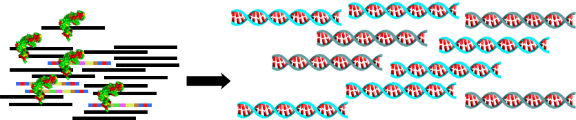 Indignación científica: ¿Existe el VIH? (VII): PCR y VIH