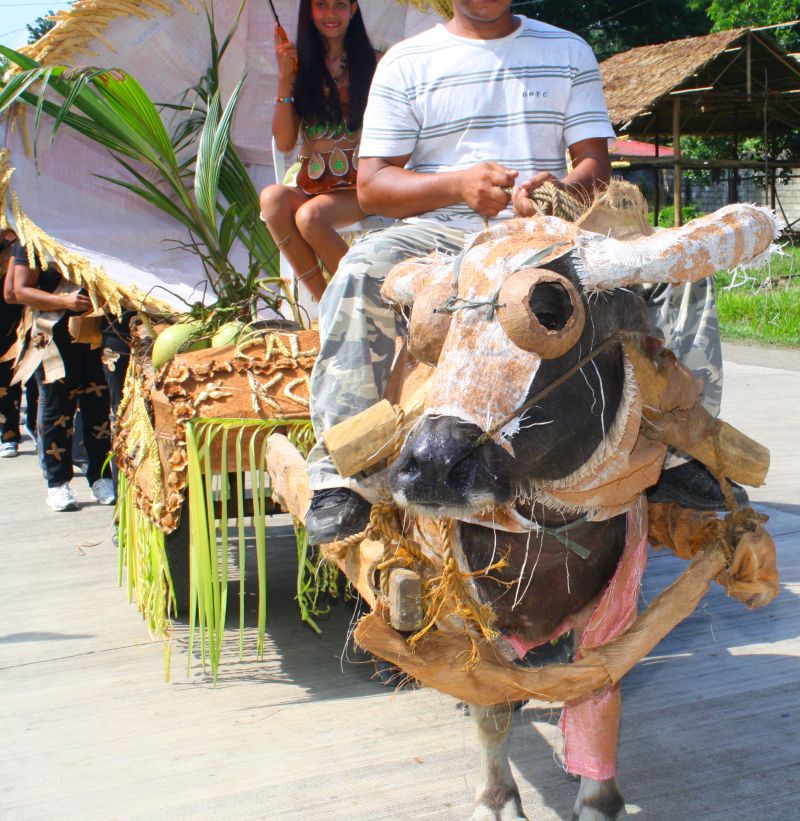 Brooke's Point, Palawan.Com