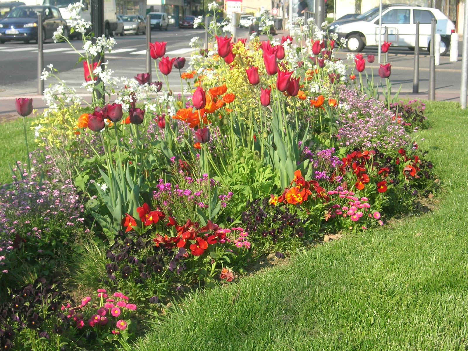 composition florale au jardin: fleurissements printemps
