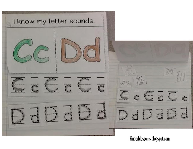 Christina's Kinder Blossoms: Interactive Alphabet Notebook (Made with ...
