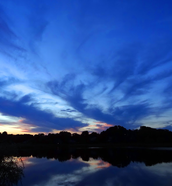 Joe's Retirement Blog: Pond Life, Bartlett Pond, Manomet, Plymouth ...