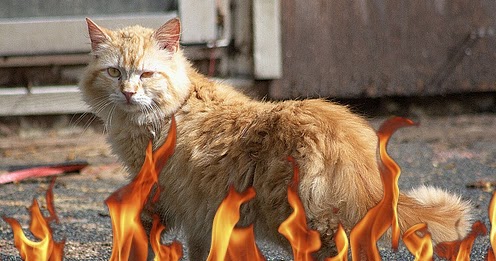 Blaze of Glory: 6 - That Darn Cat