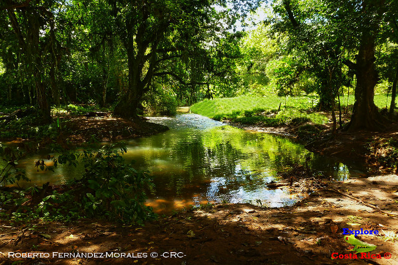 Palenque Margarita -San Rafael de Guatuso, Alajuela- | Explore Costa Rica