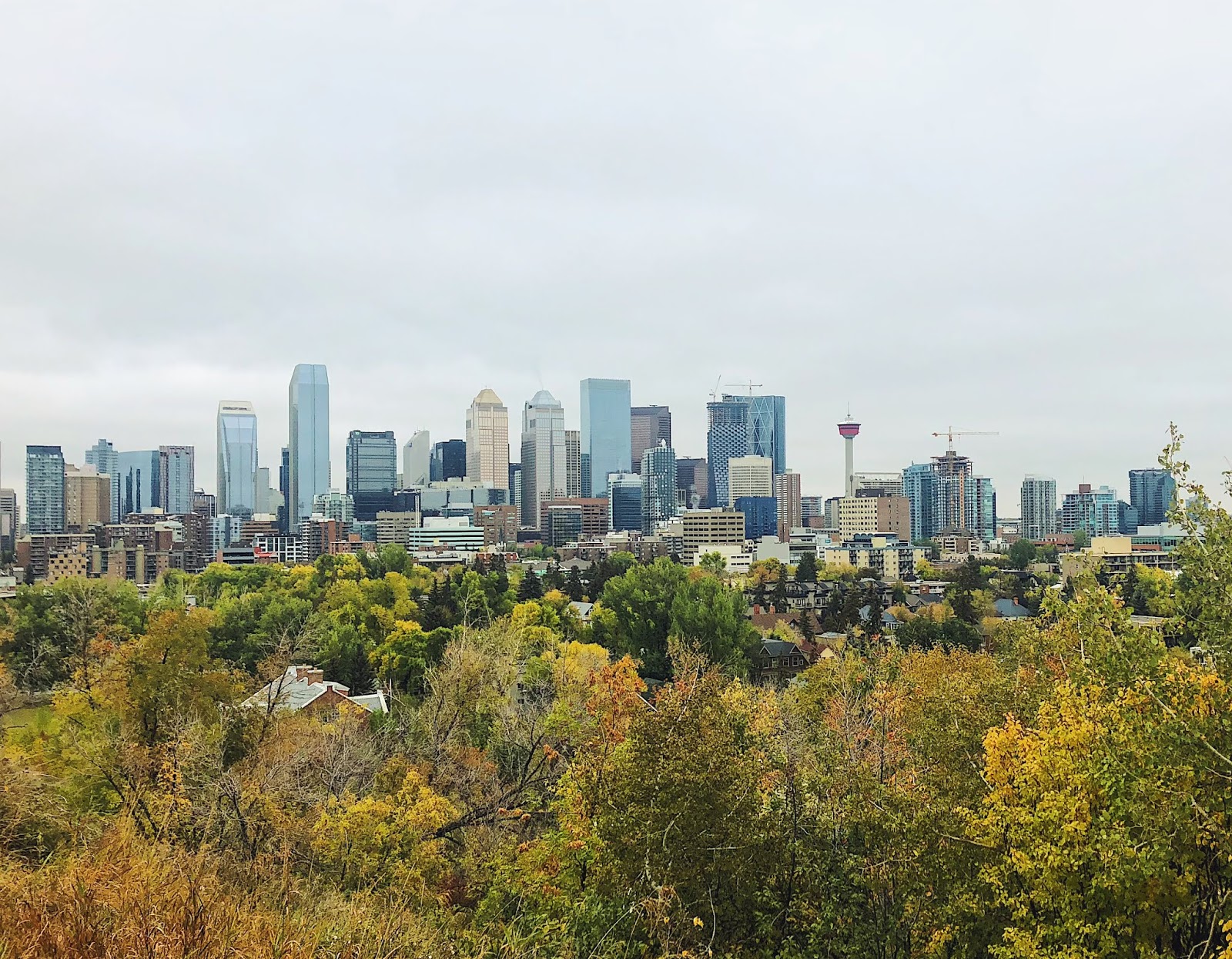 Autumn in Calgary
