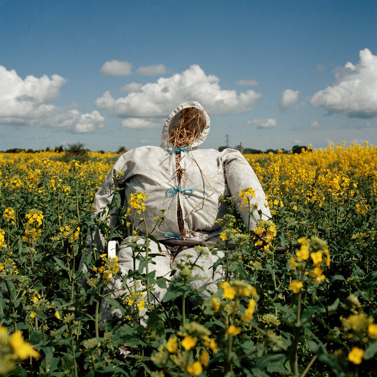 bensozia: Peter Mitchell's Scarecrows