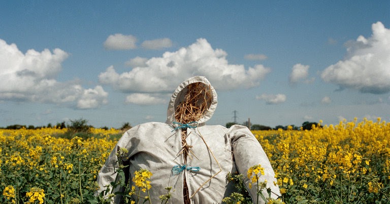 bensozia: Peter Mitchell's Scarecrows