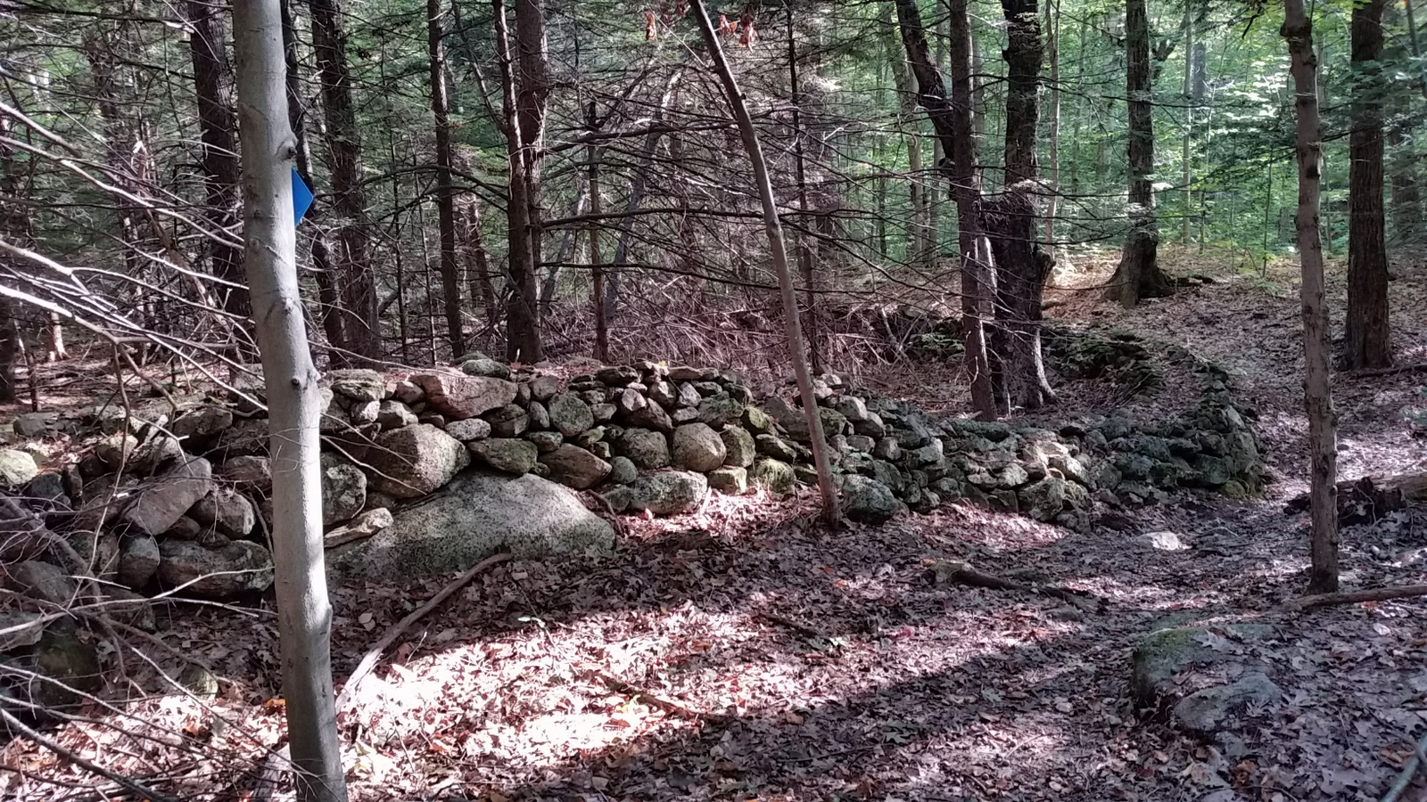 Along the NET-Cohos: NH M-M Sections 20b-21 Little Monadnock & Gap Mountain