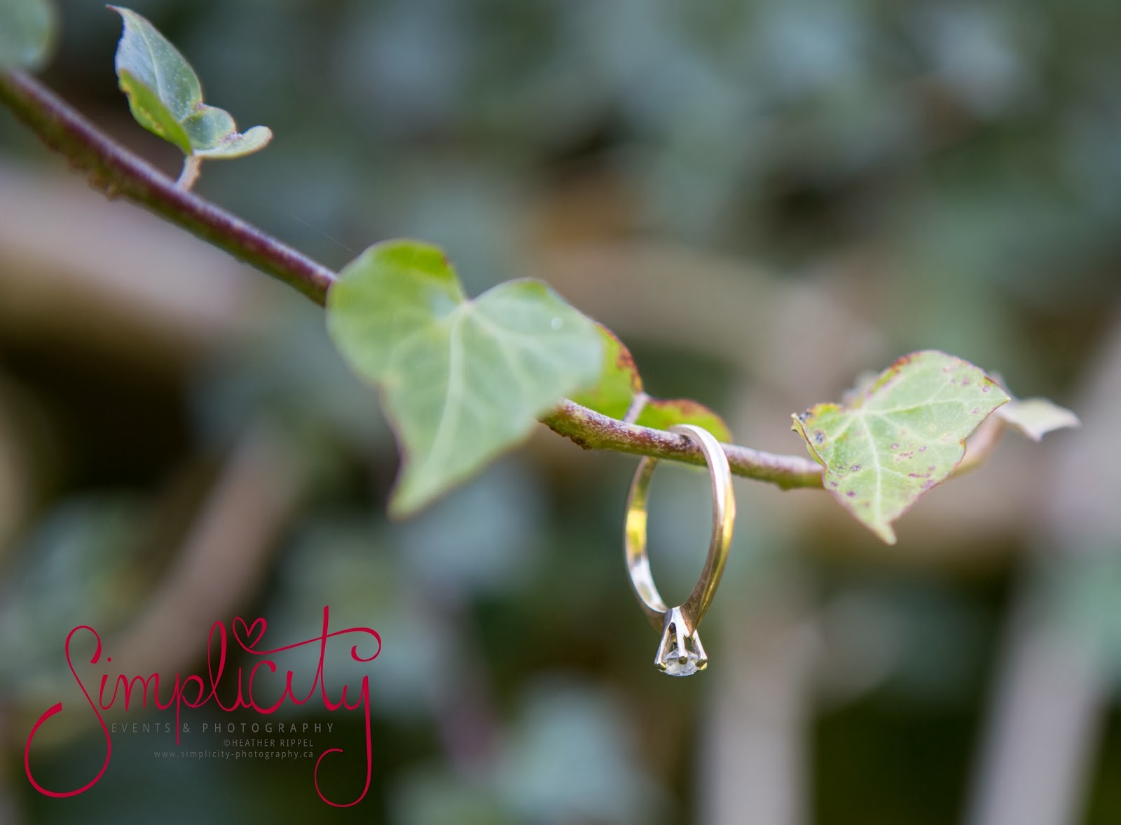 Simplicity Photography