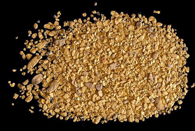 Ştiinţă pentru toţi: Unde găsești aur în apele României