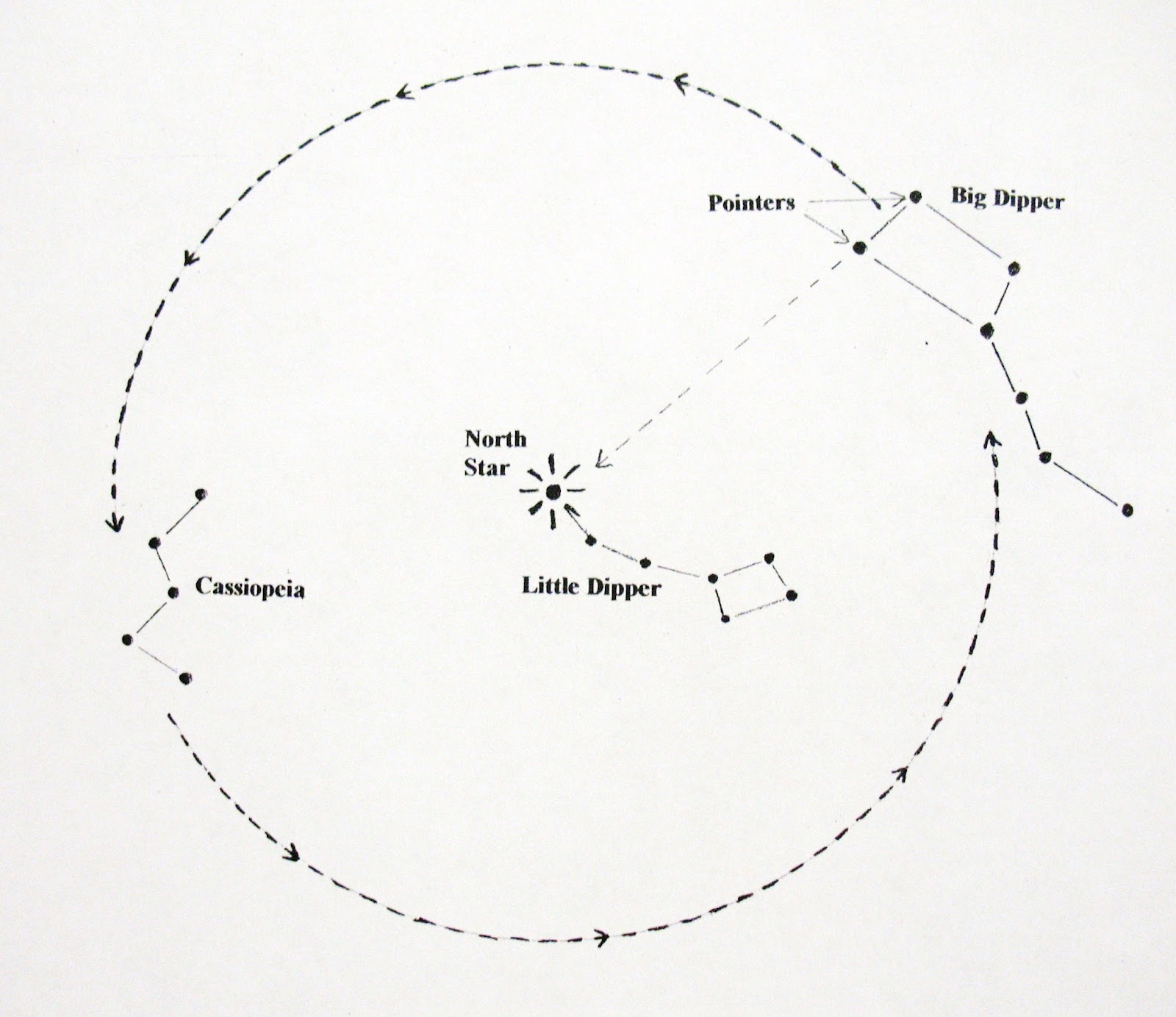 Sensible Survival: Finding Direction at Night Using the North Star