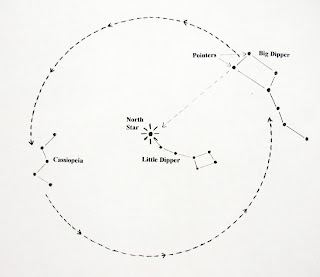 Sensible Survival: Finding Direction at Night Using the North Star