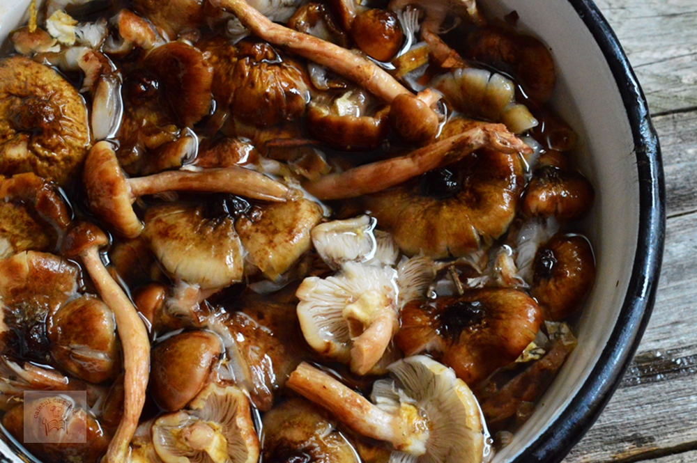 Tocanita de ghebe - CAIETUL CU RETETE