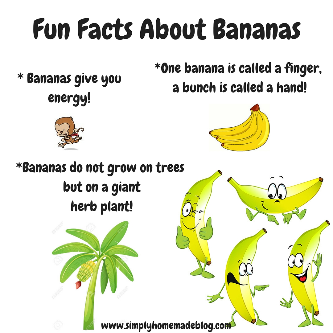 The Adventures of Dany the Perky Busy Bee in the Far-West