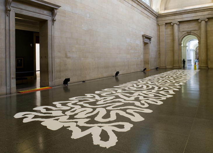Welcome to E.D.N.A...: Richard Long, White Water Line, 2007...