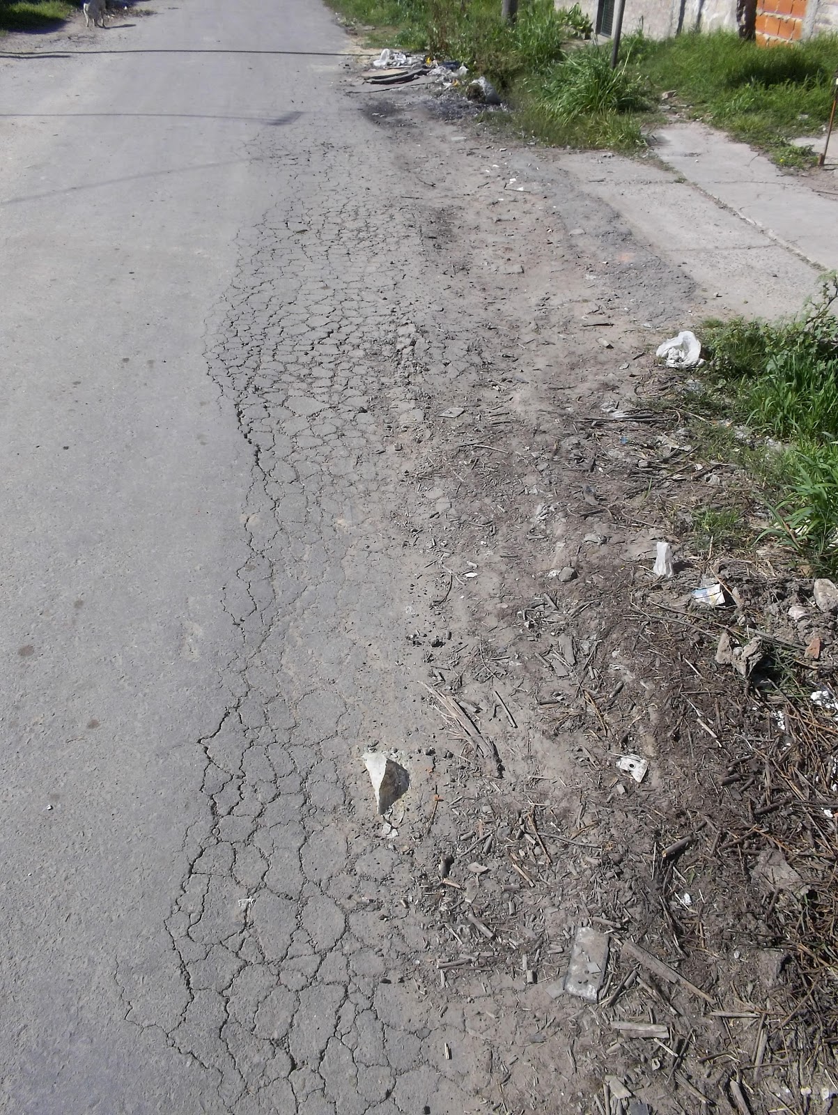 Roberto Gaudio: CALLES ROTAS EN BERNAL OESTE