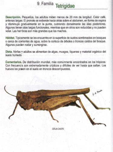 agroactivo - El mas moderno sitio de consulta técnica y comercial para ...