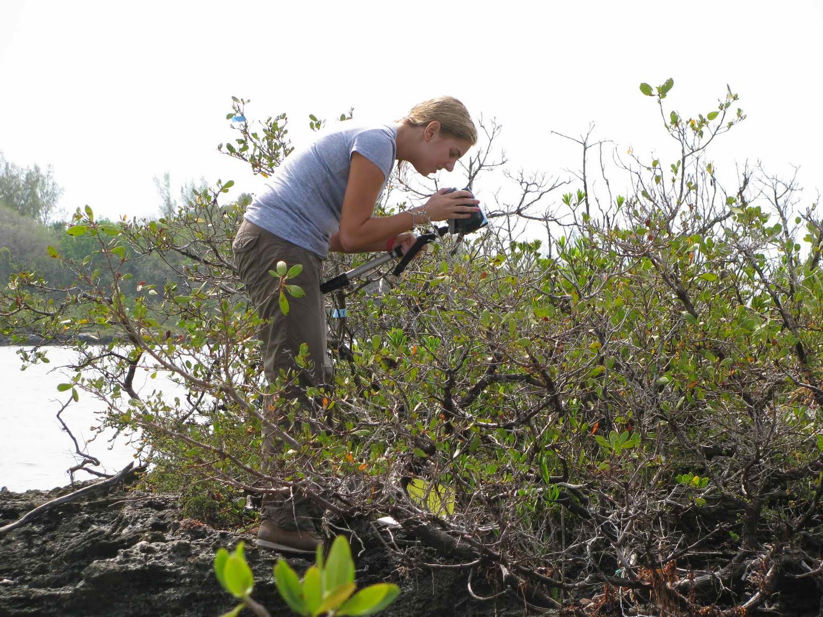CHIPOJO LAB: June 2011