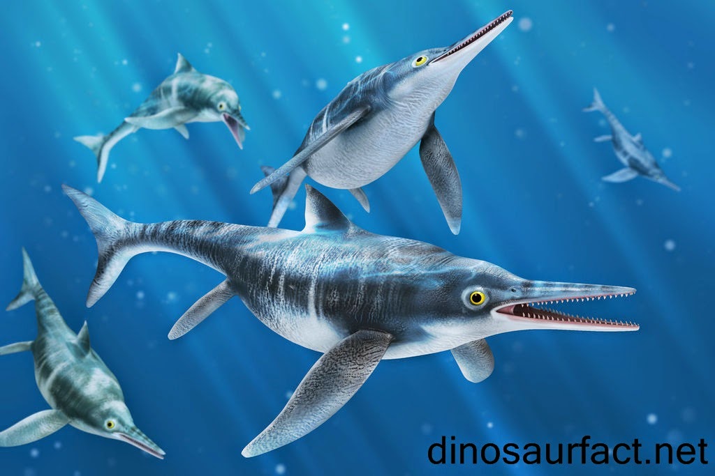 The eye of the dinosaur: EL ICHTYOSAURUS