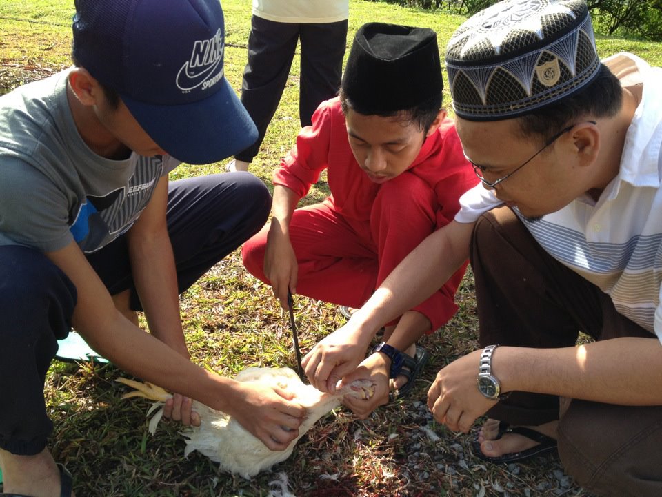 PROGRAM SEMBELIHAN OLEH PANITIA PENDIDIKAN ISLAM 2012