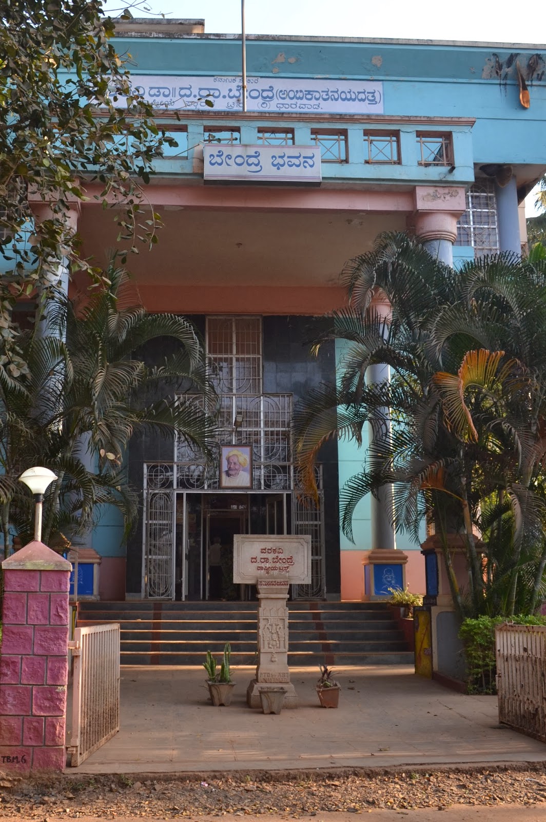 Iseebirds: The thrilled Black Redstart