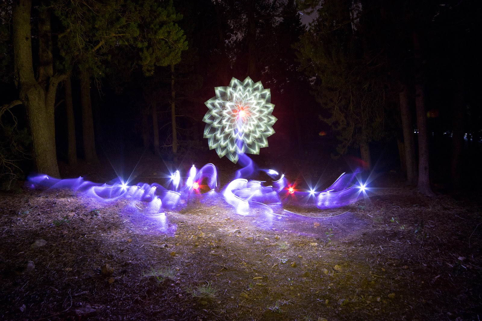 Light Painting Flower Tutorial - Photography Blog Tips - ISO 1200 Magazine