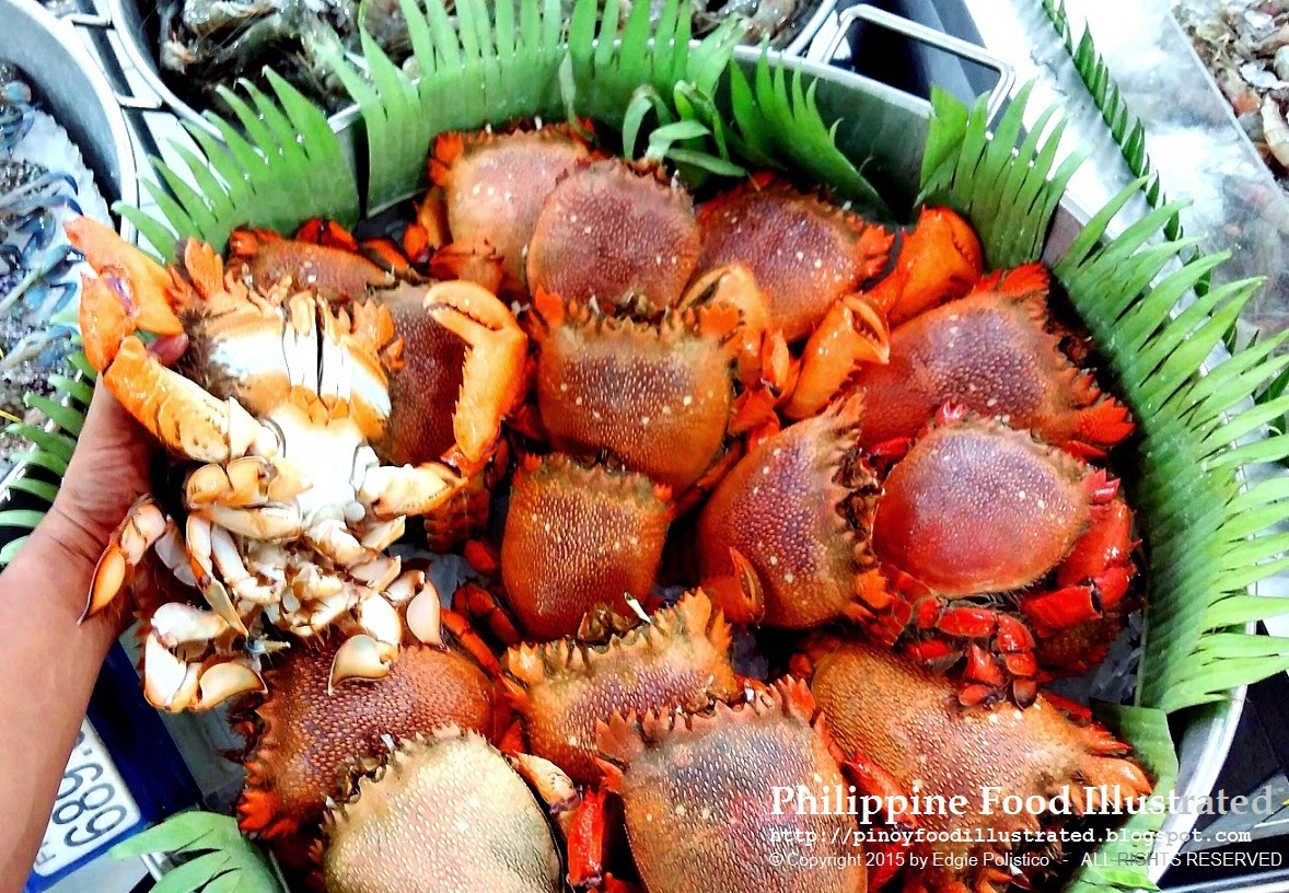 Philippine Food Illustrated: curacha