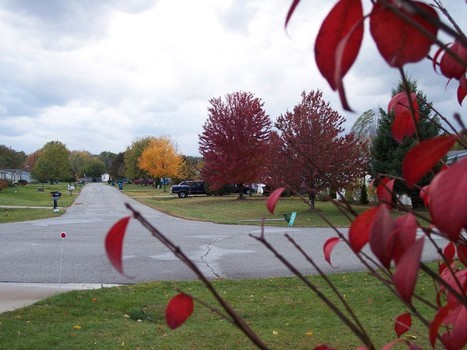 I Have An Inkling: Autumn in Middle-earth: not idly do the leaves of ...